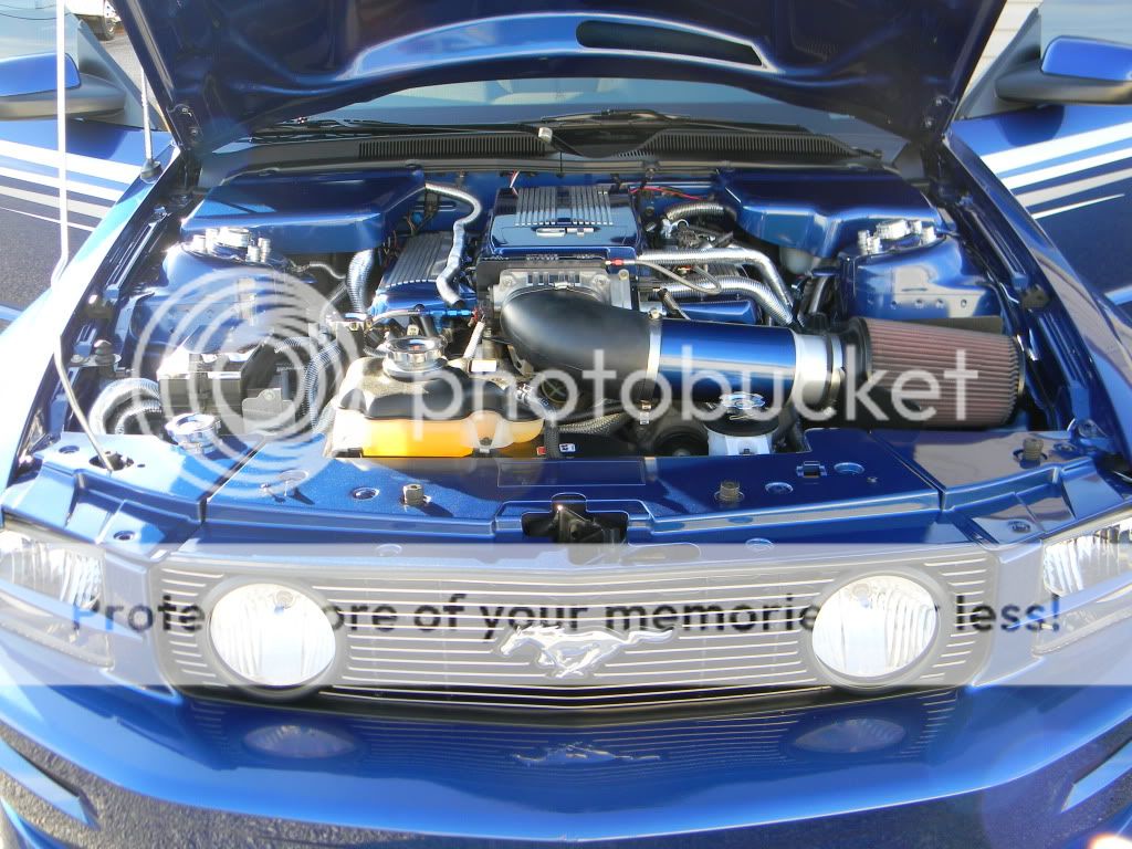 Updated pics of the Engine Bay!!! | S197 Mustang Forum - S197Forum.com